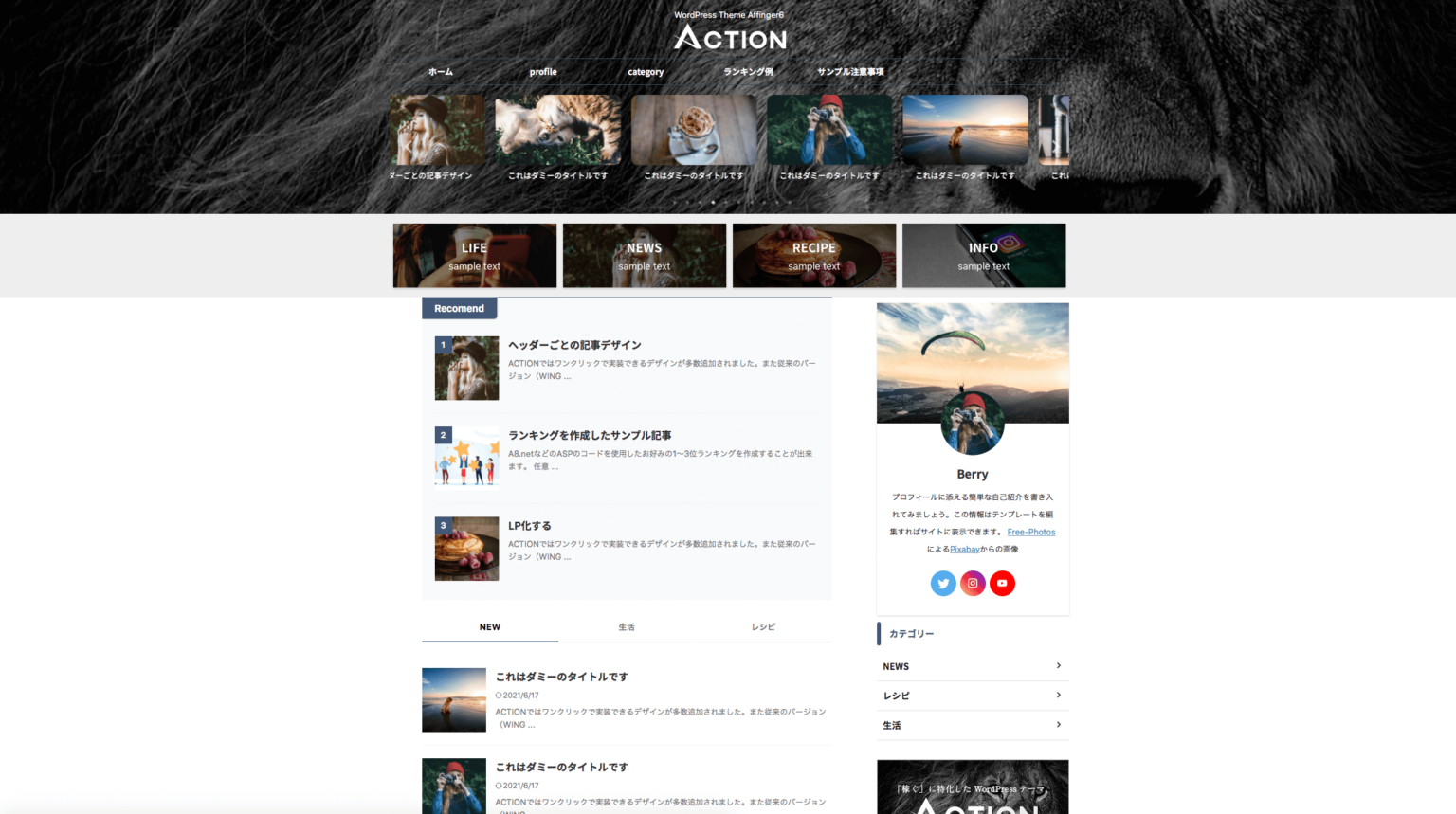 【特典付き】AFFINGER6（ACTION）を使ってる僕がメリット・デメリットを解説 - NOJI BLOG