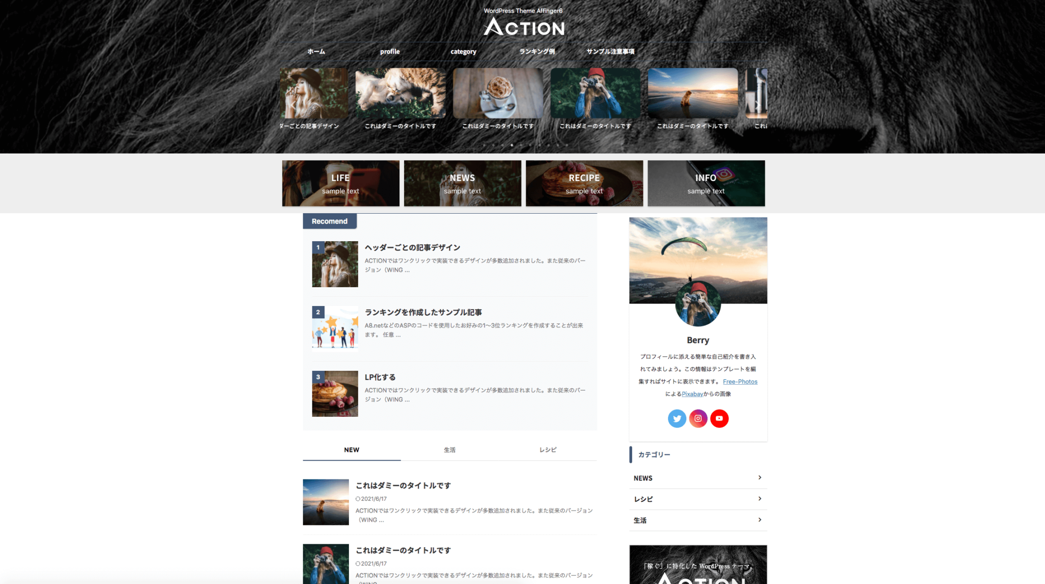 【特典付き】AFFINGER6（ACTION）を使ってる僕がメリット・デメリットを解説 - NOJI BLOG